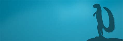 Xubuntu 16 04 Released Xubuntu