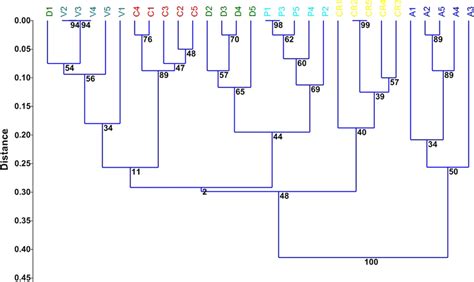 Upgma Clustering Of The Evaluated Species And Their Individuals Based