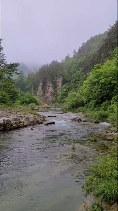 아이들과 캠핑하기 딱 좋은 곳 Youtube