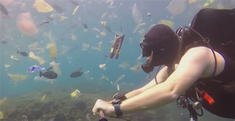 Scientists Discover Highest Ever Concentration Of Microplastics On Seabed