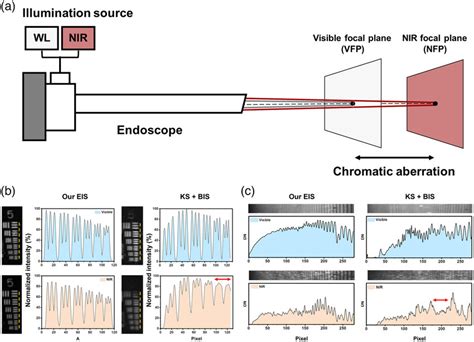 Spatial Resolution Of Eis And Ks Bis Under White Light And Nir Download Scientific Diagram