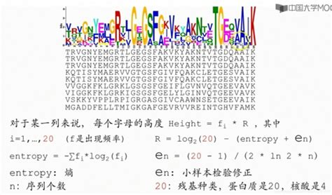 【mooc 生物信息学 序列比较】 计算两个蛋白质的序列一致性 csdn博客