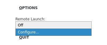 Connecting Remotely Linaro Forge Documentation