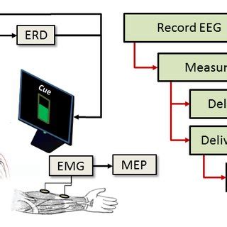 Overview Of The Experiment Structure EEG Is Recorded And Used To Download Scientific Diagram