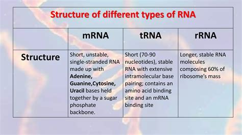 TOPIC DIFFERENT TYPES OF RNA THEIR SYNTHESIS AND STRUCTURE Pptx