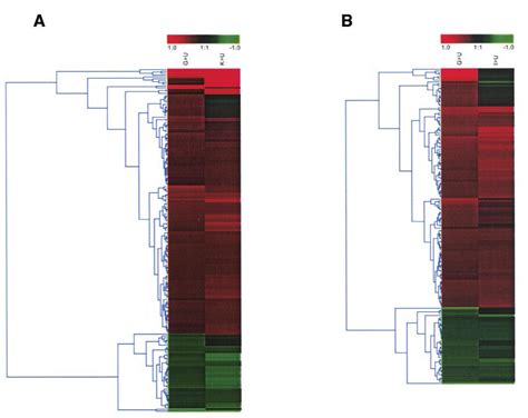 Hierarchical Clustering See RESEARCH DESIGN AND METHODS A Download Scientific Diagram