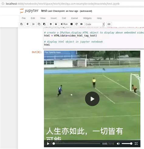 How To Display Rich Output Media Audio Video Image Etc In Ipython