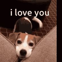 I Love You Memes  Captions Beautiful