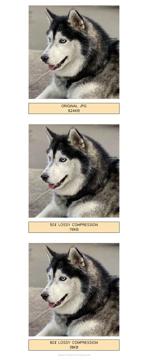 Compression CIE A Level Computer Science Revision Notes