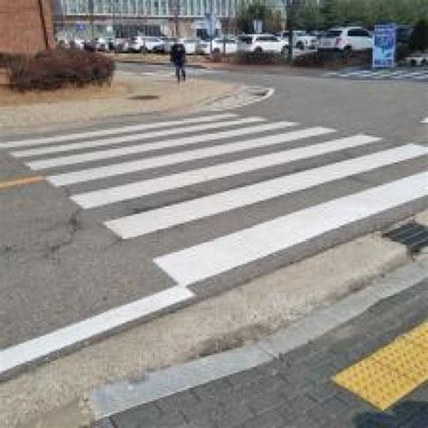 Revised Pedestrian Obstacle Object Detection Dataset By Thesis Test Dataset