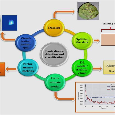 classification of diseased plant leaves using genetic algorithm block
