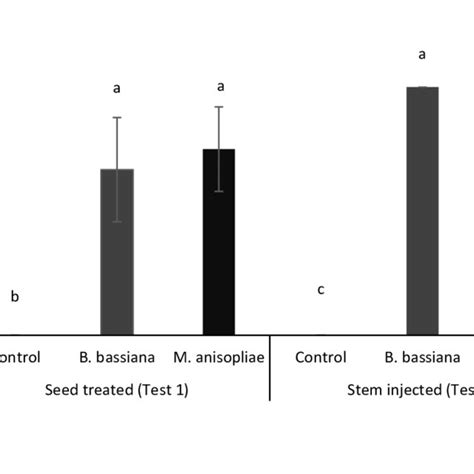 Colonization Rate Of Tomato Leaves From Seed Treated Plants Test Download Scientific