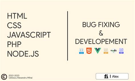 be your professional full stack web developer by alexmihai04 fiverr