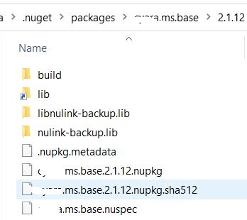 System Io Ioexception Access To The Path Nuget When Creating A Nulink Issue Nwheels