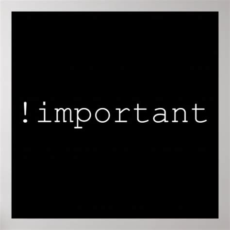 Important CSS Declaration Poster Zazzle