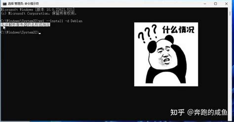 安装wsl时遇到“无法解析服务器名称或地址”的错误及解决方法 知乎