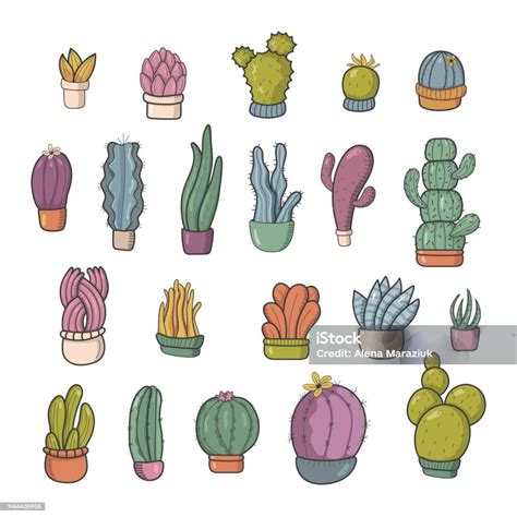 흰색 배경에 격리 된 다양한 모양의 밝고 아름다운 특이한 선인장 세트 당신의 디자인을 위한 선인장과 다육식물의 다른 모양 모든 객체가 분리됩니다 벡터 그림입니다 0명에 대한