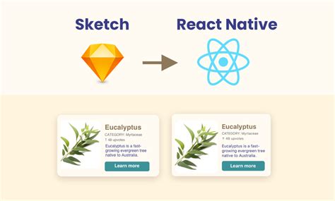Recreating A Simple Sketch Component In React Native By Jenn Ux