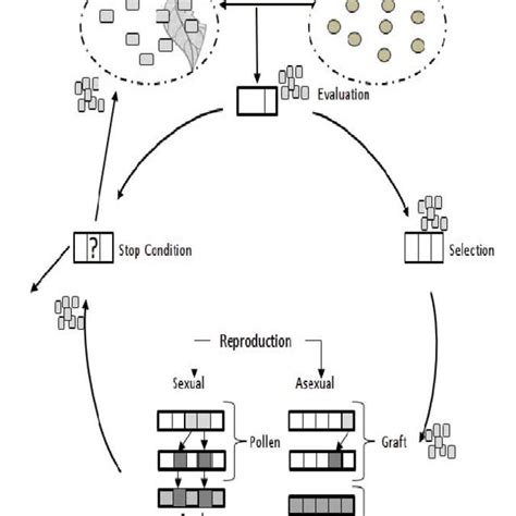 illustration of our proposed algorithm download scientific diagram