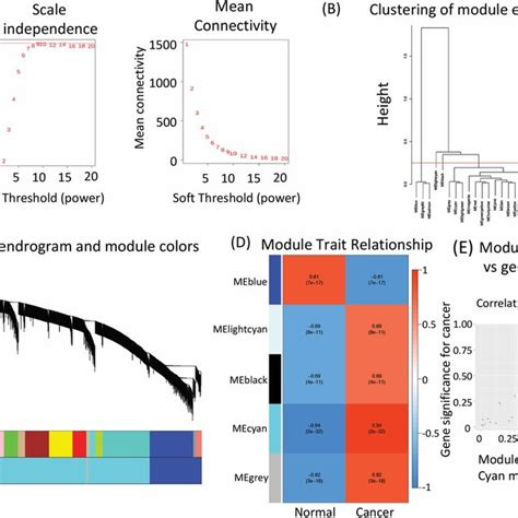 Network Visualization And Pathway Analysis Of Wgcna Modules A Gene Download Scientific Diagram
