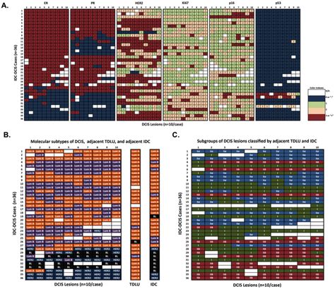 Ihc Marker Scores And Dcis Classification Among Individual Dcis Lesions