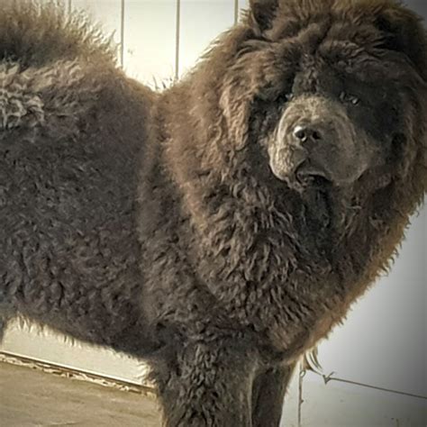 Andrew David Mccaw Youtube