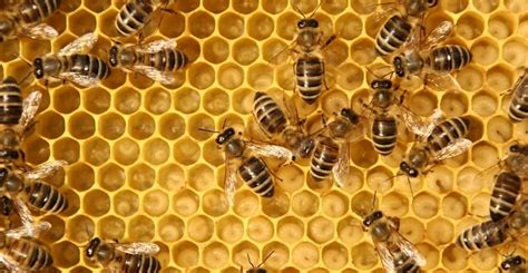 Querying External Data In Hive Using Jdbc Storage Handler