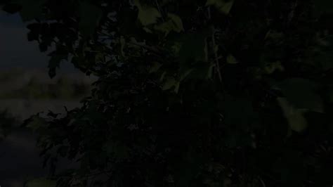 Setareh Dayani On Linkedin Architecturedesign Architecturalvisualization 3dvisualization…