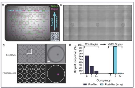 432 A Drop Of Insight Single Cell Functional Profiling For Immuno