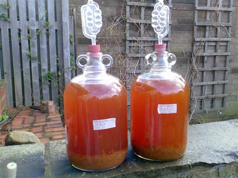 Bens Adventures In Wine Making Prune And Parsnip Wine 2014 The Making Of