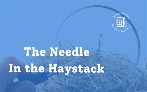 The Needle In The Haystack The Best Interest