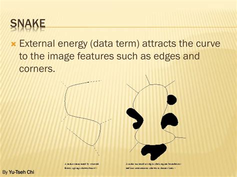 PPT B Spline Snake A Flexible Tool For Parametric Contour Detection PowerPoint Presentation