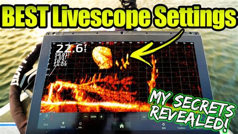 Best Display For Livescope At Indiana Brownless Blog