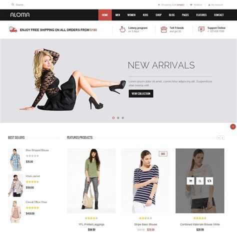 10 Top Responsive Ecommerce Wordpress Themes 2015