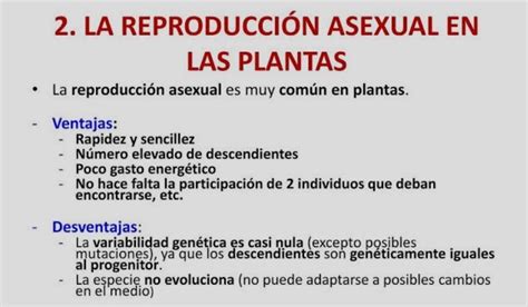 Ventajas Y Desventajas De La Reproducción Sexual En Plantas Brainlylat