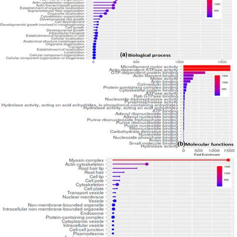 A Biological Process B Molecular Function C Cellular Download Scientific Diagram