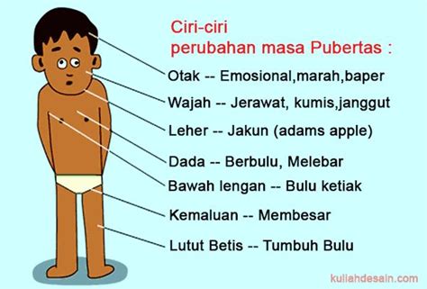 Poster Tips Sukses Pubertas Yang Mudah Digambar Satu Trik