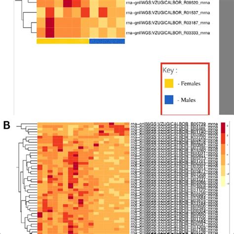 Fig S7 Differential Gene Expression Analysis For Plastic And Sex A