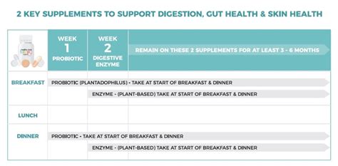 Food And Environmental Allergy Testing Part One Sheila Kilbane Md