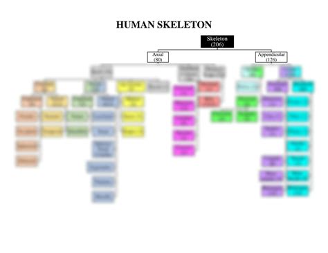 Solution Human Skeleton Ncert Bones Chart Studypool