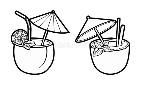 Outline Coconuts Stock Illustrations 213 Outline Coconuts Stock Illustrations Vectors