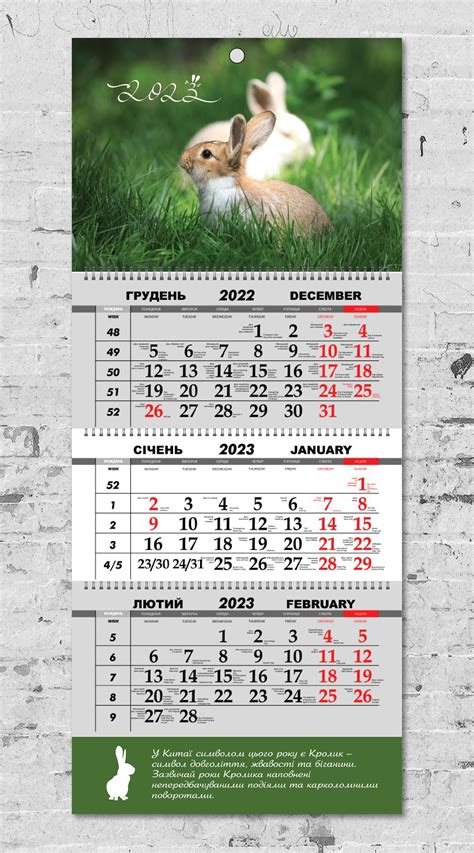 Календар настінний квартальний на 2023 рік на 3 пружини - "Рік кролика ...