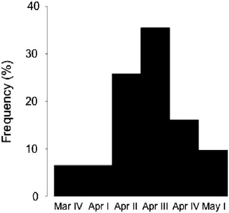 —frequency histogram by week of projected parturition dates for 31