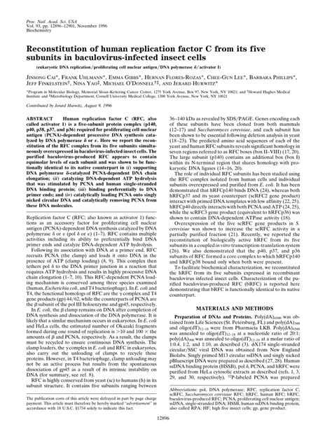 Pdf Reconstitution Of Human Replication Factor C From Its Five Subunits In Baculovirus