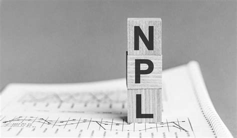 New Npls Seen At 500 Million Euros In 2024 Npl Confidential