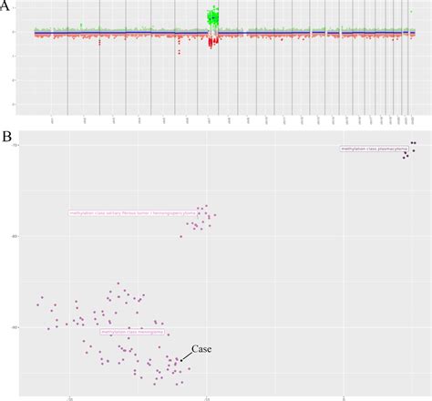 A Copy Number Profile From Dna Methylation Sequencing Reveals