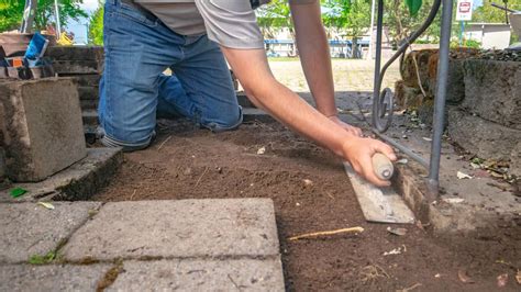 How To Remove Tree Roots Under Pavers Western Interlock DIY