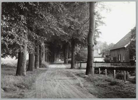 Foto Loolaan 2e Te Doetinchem Oozonl