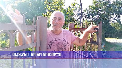 მგლები სოფელ ოზურგეთისა და მელექედურის საზღვარზე Youtube