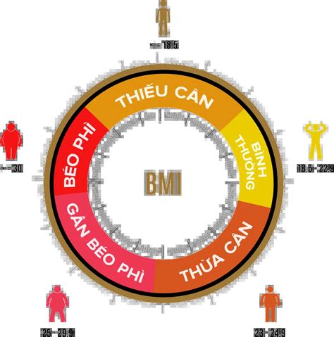 Chỉ Số Bmi Công Thức Tính Và ý Nghĩa Với Sức Khỏe